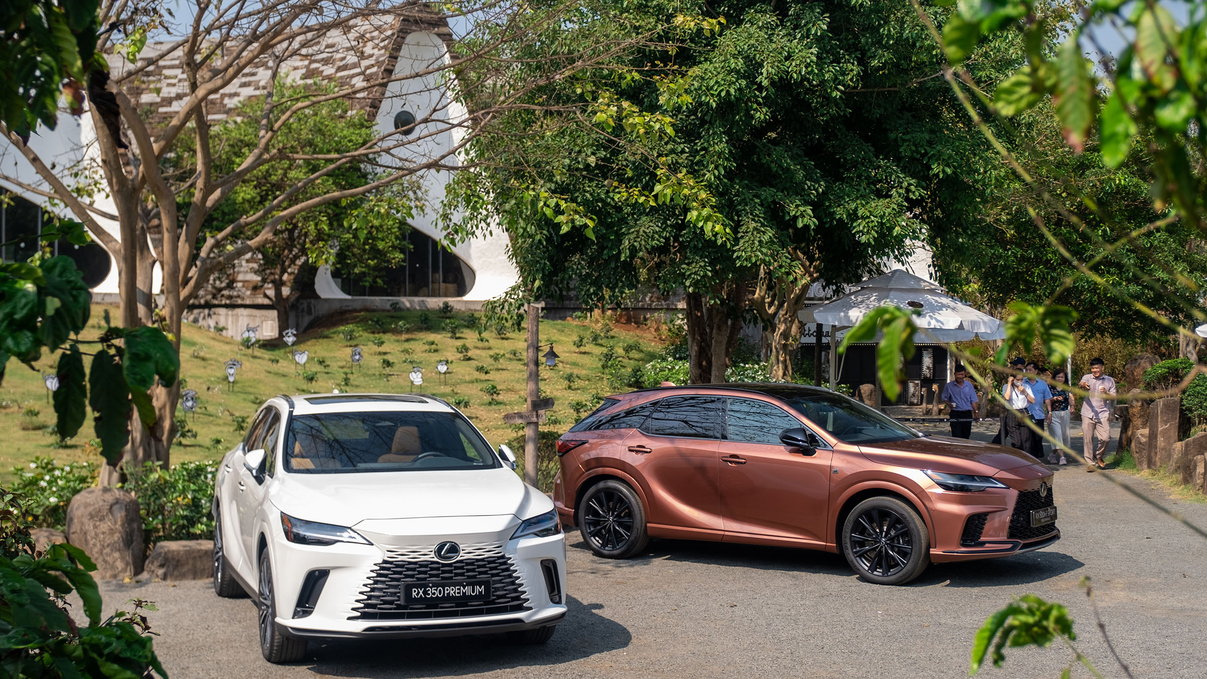Lexus kỷ niệm 10 năm tại Việt Nam bằng hành trình nâng tầm cảm xúc ...