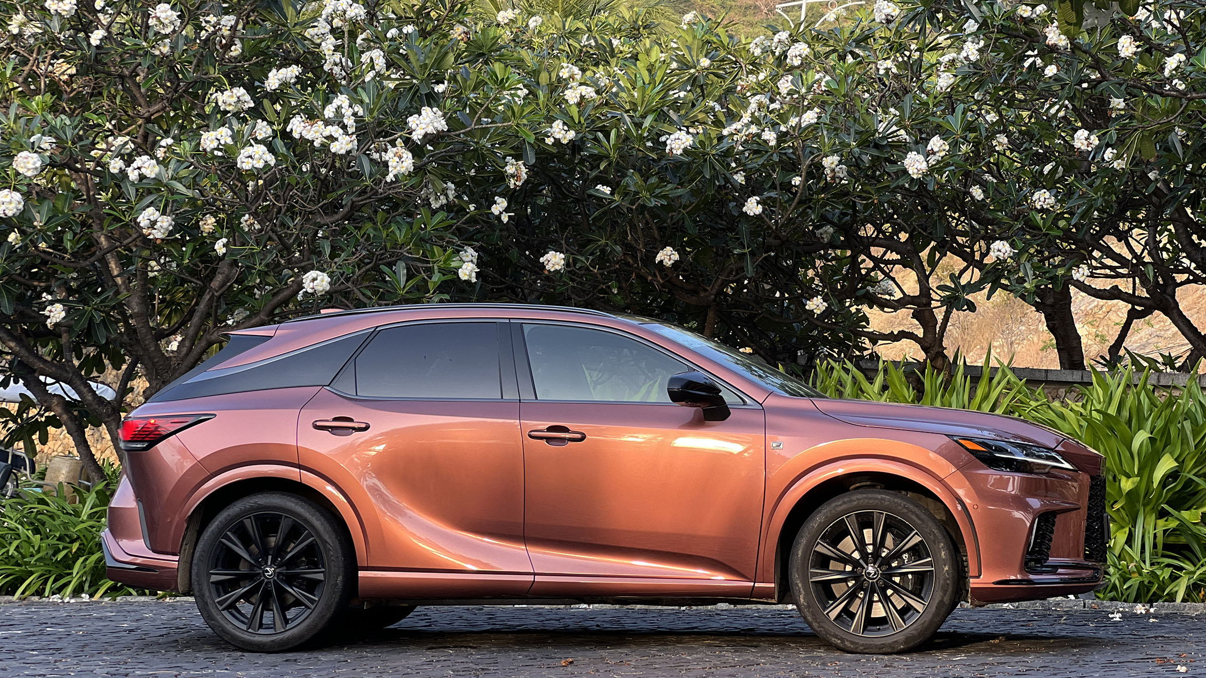 Lexus kỷ niệm 10 năm tại Việt Nam bằng hành trình nâng tầm cảm xúc ...